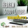 New Kefar Hebrew Study Guide - Numbers - The Kefar