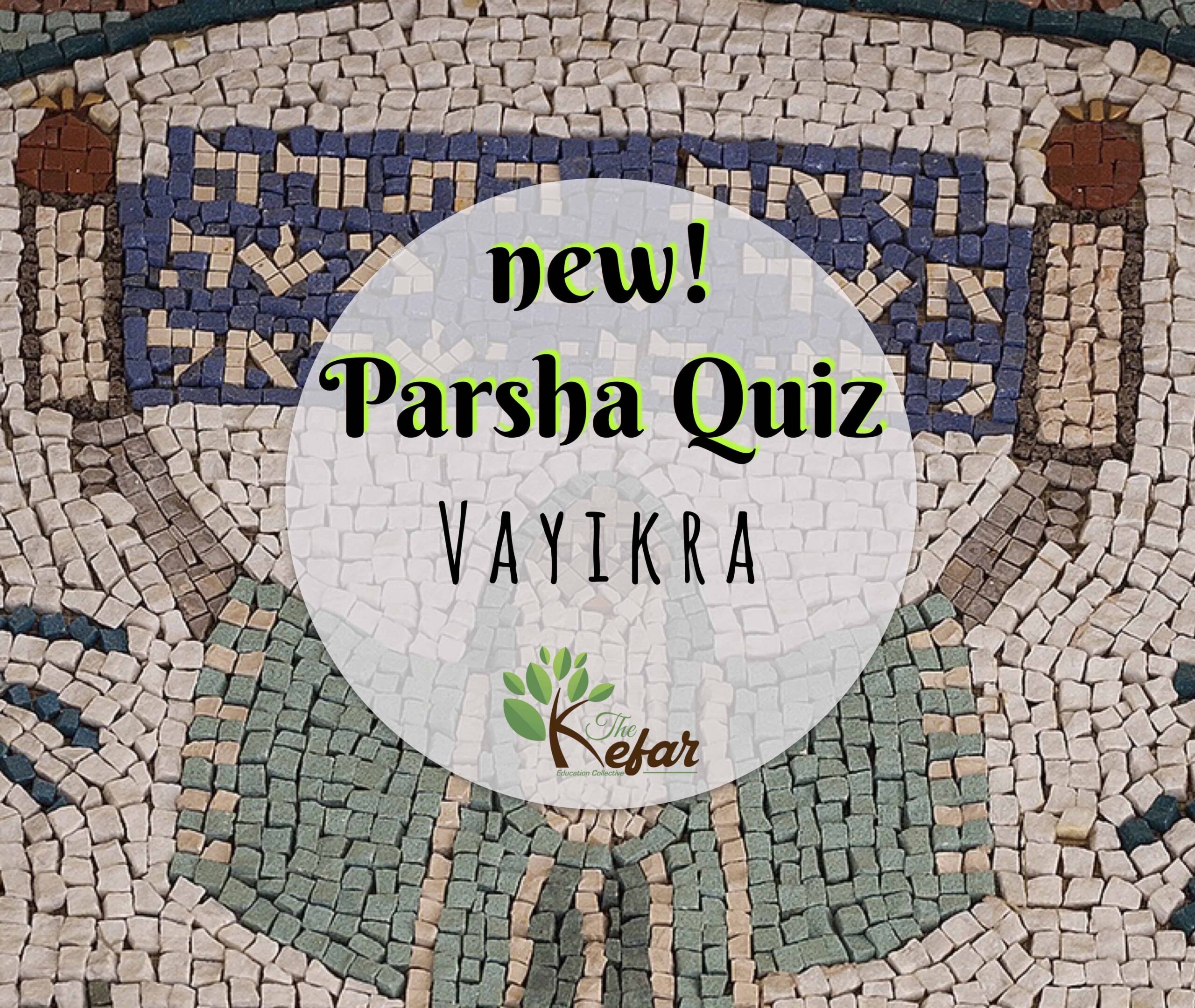 Kefar Parsha Quiz – Parashat Vayikra - The Kefar